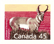 Pronghorn Maps